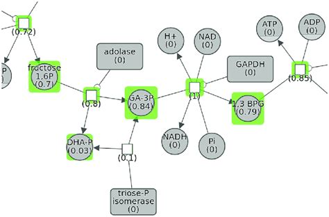 Normalized Betweenness Centrality Values In Part Of A Pathway Are Shown Download Scientific