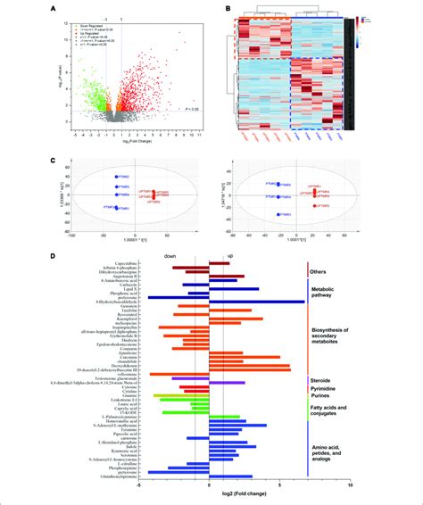 A Volcano Plot Shown The Profile Of Metabolites And Discrepant