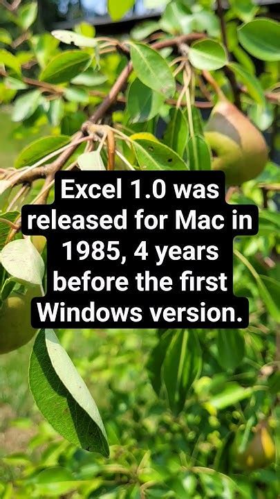 Interesting Excel Fact 3 Shorts Facts Excel Trivia Youtube