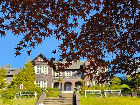 旧古河庭園の紅葉情報2024 ウェザーニュース