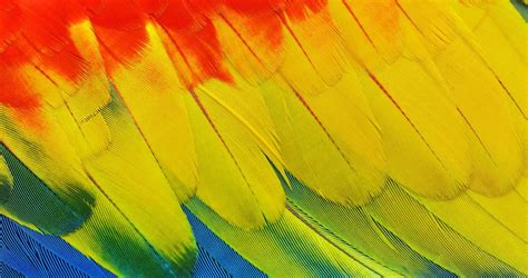 7 Best Practical Tips For Creating Ui Color Schemes