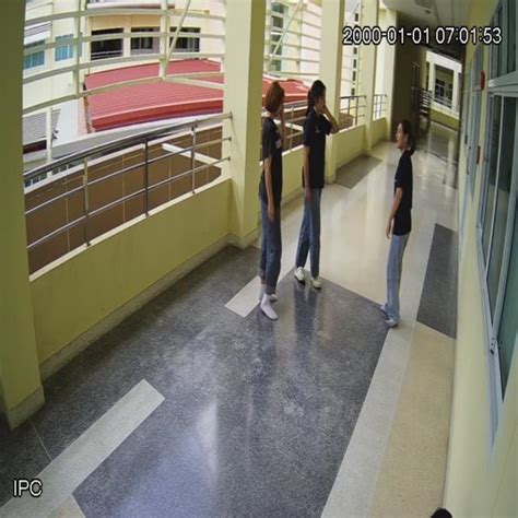 Fall321 Object Detection Dataset V2 2024 01 26 613pm By Jalil