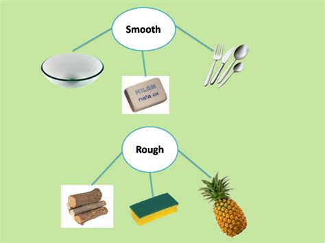 Rough And Smooth Objects Worksheets