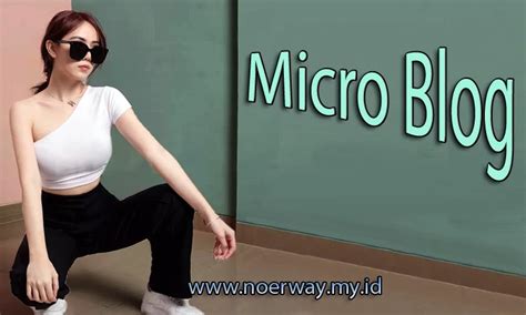Apa Itu Micro Blog Noerwaymyid