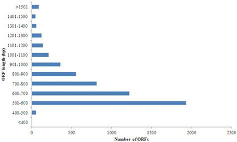 Open Reading Frame Orf Length Distribution From All Contigs Of M