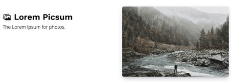 Simplify Software Testing With These Test Data Generators Qalogy