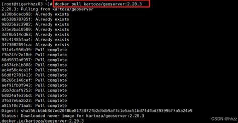 linux系统使用docker部署geoserver并做数据挂载进行地图服务的发布和游览 ew帮帮网