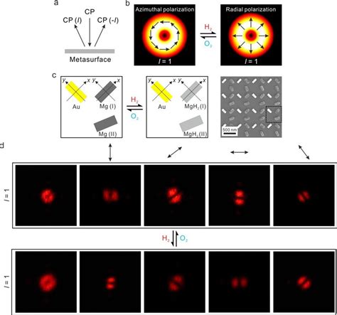 Vector Beam Switching Between Azimuthal And Radial Polarizations A