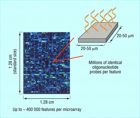 Dna Microarrays In Medical Practice The Bmj