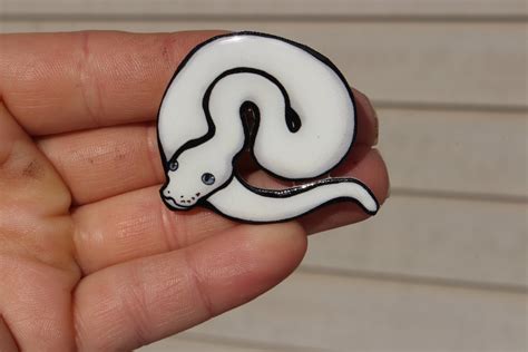 Blue Ball Python Morphs