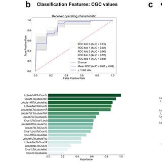 Receiver Operating Characteristic ROC Curves And Feature Importance