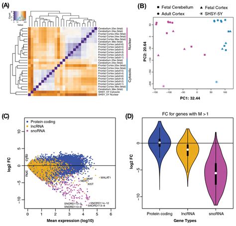 Characterization Of The Cytosol And Nuclear Transcriptomes A