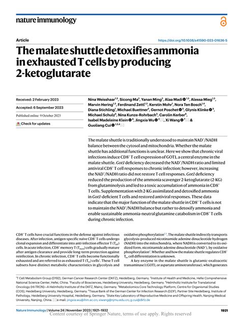 Pdf The Malate Shuttle Detoxifies Ammonia In Exhausted T Cells By
