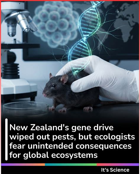 Its New Zealand Is Pioneering Predator Free 2050 An Ambitious