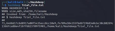 Hashdeep A Digital Forensics Tool In Kali Linux Geeksforgeeks