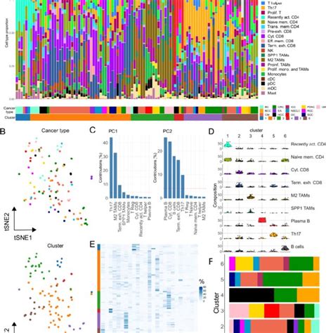 Patient Stratification Based On The Tumor Immune Cell Composition Download Scientific