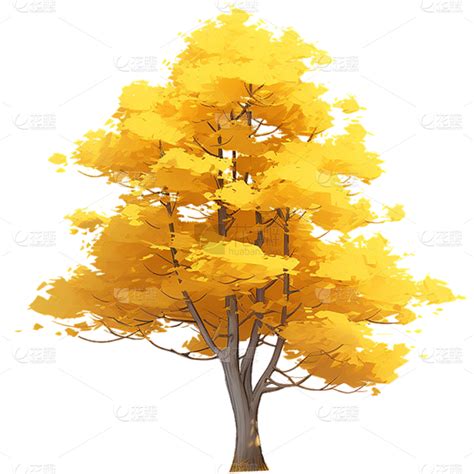 秋季秋天手绘插画植物树木
