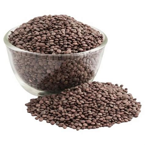 Red Organic Whole Masoor Dal High In Protein Packaging Size 1 Kg At ₹ 115 Kg In Multai