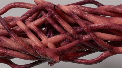 Organic Monster Tentacles Stock Illustrations 73 Organic Monster