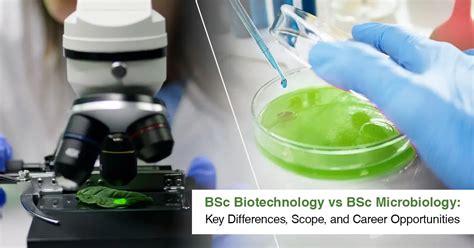 Bsc Biotechnology Vs Bsc Microbiology Key Differences
