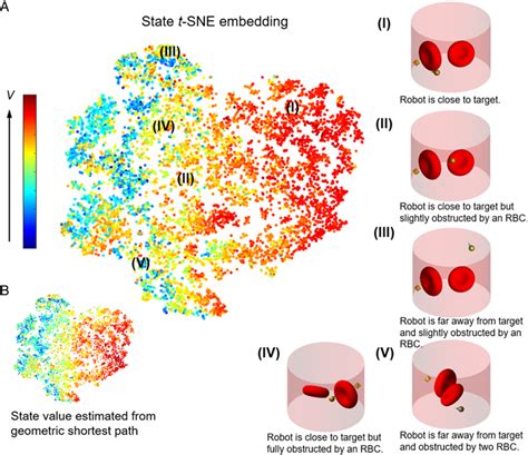 Analysis Of Learned Representations In Neural Networks A The 2d