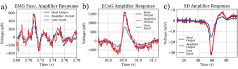 Response Of A 35 Nm Small Spiral Oect Common‐source Linear Amplifier