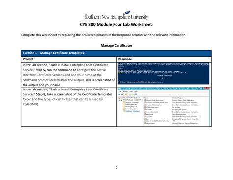 cyb 300 module four lab worksheet cyb 300 module four lab worksheet