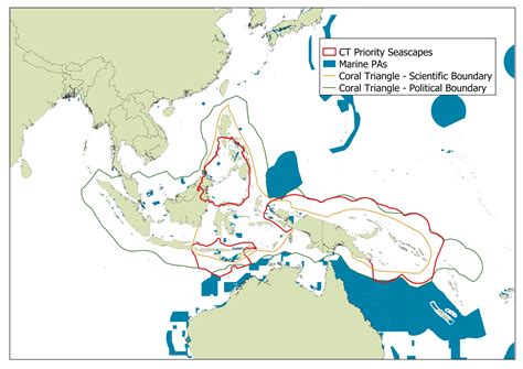 Coral Triangle Conservation Fund Home Coral Triangle Conservation Fund