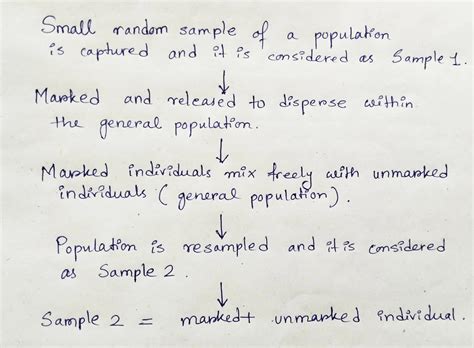 Determination Of Population Density Biologyislove