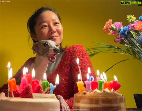Gong Hyo Jin Instagram 제 베푸는 다다음날이 생일이라 거의 25년간 제생일에 같이 초를 불었어요 오늘