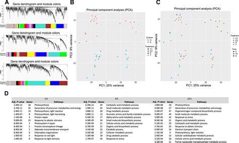 Analysis Of Expression Data Including Weighted Correlation Network