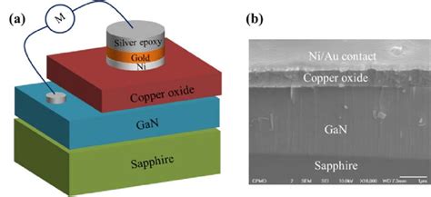 1 a schematic and b sem micrograph of the device download