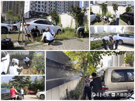 山东省地矿局五院机关第一党支部开展志愿服务活动齐鲁环境杨云涛
