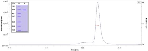The Intersection Of Carcinogenic Signaling Pathways