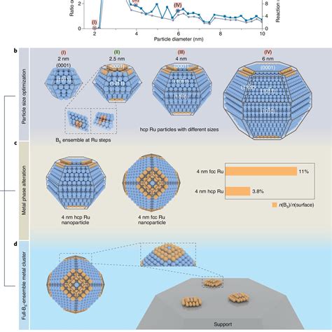 北京大学新闻网