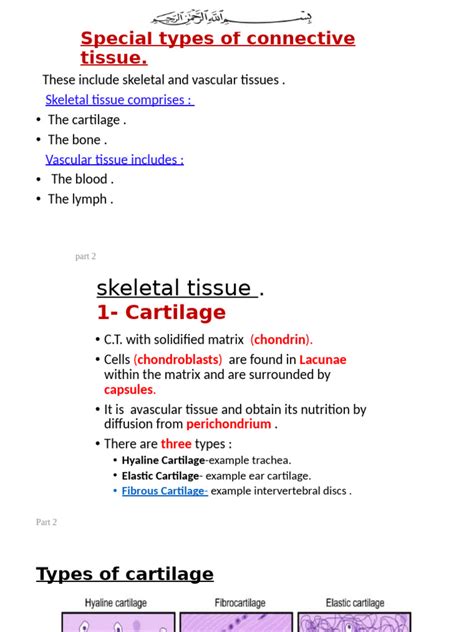 2nd Lec B Pdf