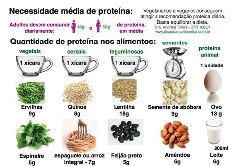 Nutrição Holística Consuma Proteínas De Origem Vegetal Nutrição