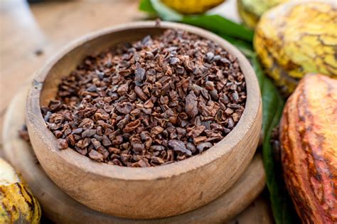 카카오 포드 코코아 포드 유기농 초콜릿 농장 태국 카카오 태국 포드 신선한 코코아 포드 컷 은 태국의 코코아 공장 코코아 포드의 매크로와 함께 코코아 씨앗을 노출 코코아에