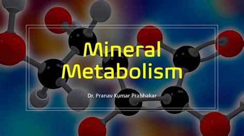 Basics Of Mineral Metabolism Part 1 Youtube