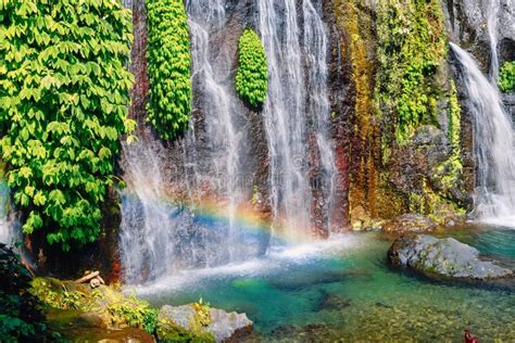 Tropical Islands Waterfalls