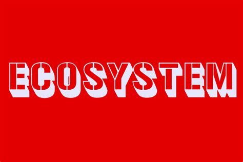 Ecosystem In Different Languages 134 Translation And Listening Translatehow