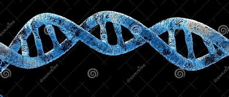 A Genetic Testing Kit For Identifying Hair Loss And Hereditary Factors