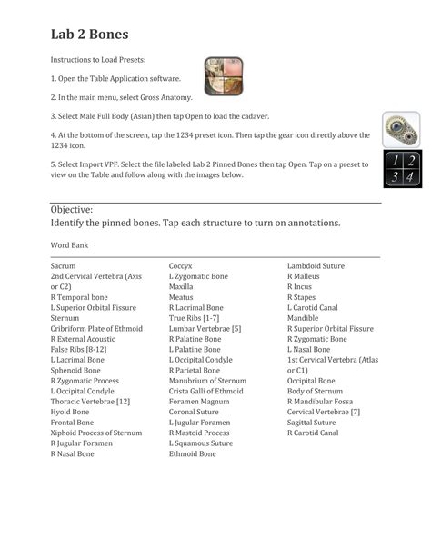 Solution Lab 2 Bones Worksheetrada Studypool