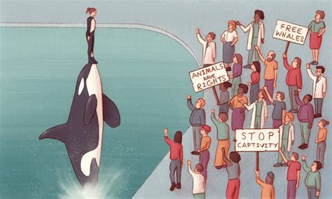 Killer Whales In Captivity Attacks Humans Killed By Orcas
