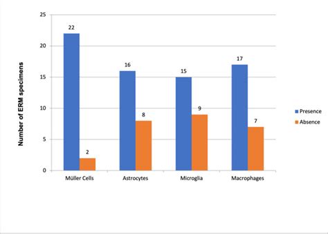 Immunohistochemical Functional And Anatomical Evaluation Of Patients With Idiopathic
