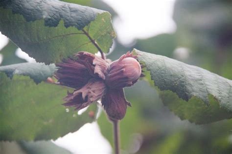 Народные приметы на 4 октября 2024 года что предвещает суровую и снежную зиму новости