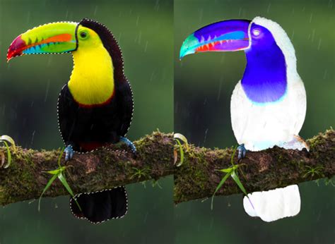 How To Invert Colors In Photoshop Two Options