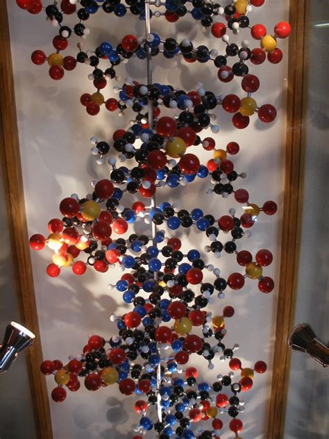 Polymers Introductory Chemistry