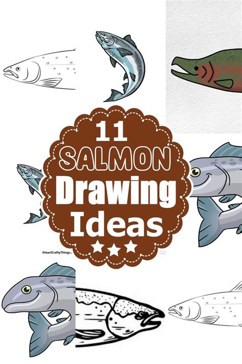 11 Salmon Drawing Ideas How To Draw A Salmon Salmon Drawing Trout Art Drawings