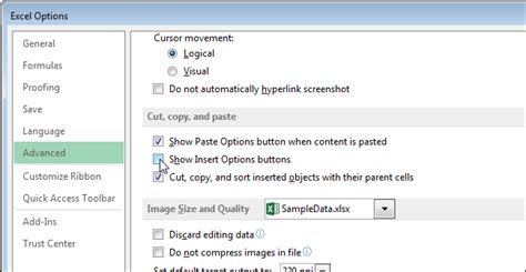 How To Turn Off The Insert Options Floating Button In Excel